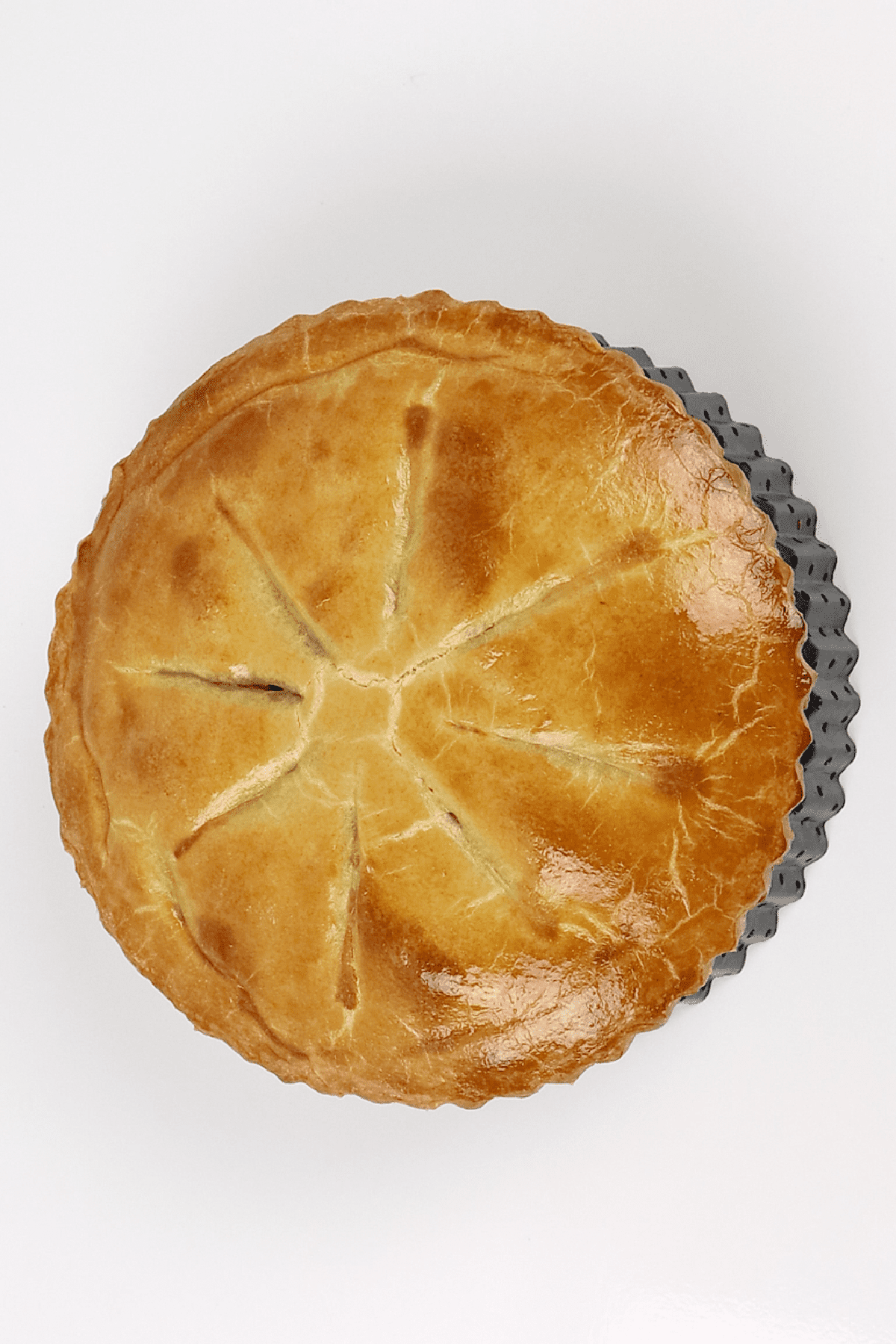 Turkey Pie Recipe - Yummieliciouz