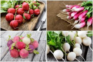 Radish: Health Benefits, Nutrition, and Uses - Yummieliciouz