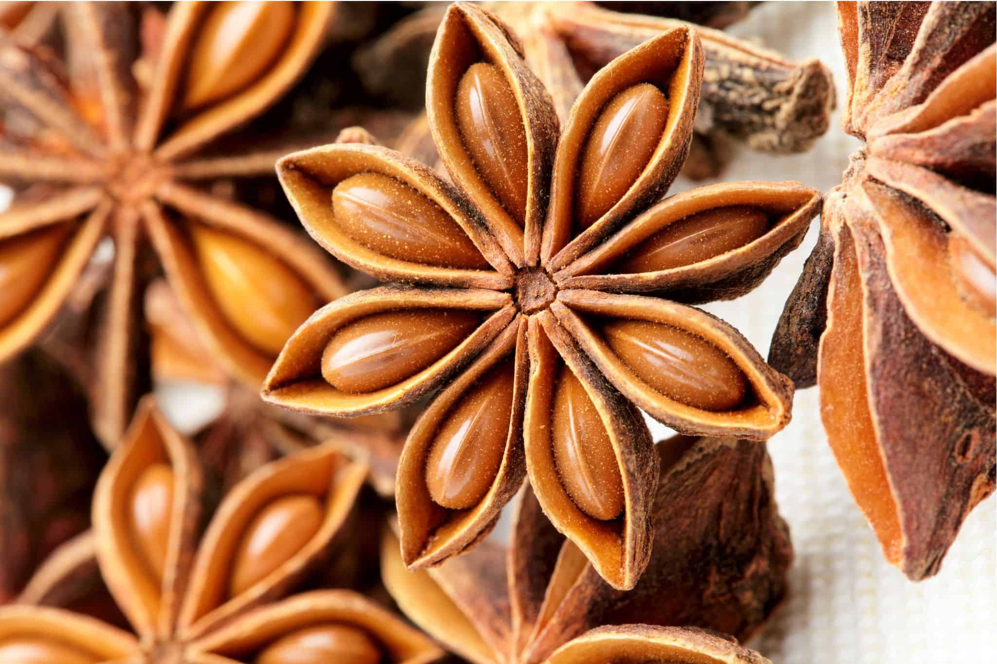 5 Amazing Health Benefits of Star Anise - Yummieliciouz